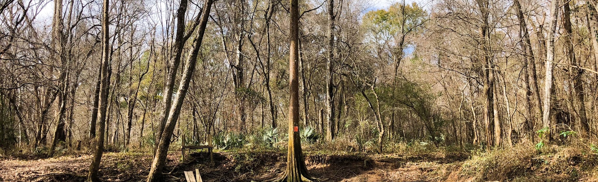 Holmes Blue Spring Paddle Route: 2 Reviews, Map - Florida | AllTrails