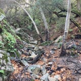 Tenaja Canyon via Tenaja Trail, California - 185 Reviews, Map | AllTrails
