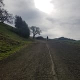 Timberhill Park Trail, California - 203 Reviews, Map | AllTrails