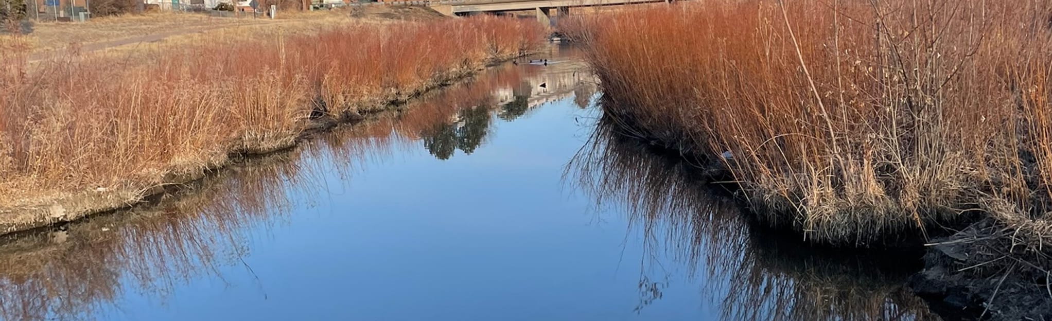 Toll Gate Creek Regional Loop: 123 Reviews, Map - Colorado | AllTrails