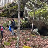 Cecil Cove Loop Trail, Arkansas - 155 Reviews, Map | AllTrails