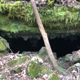 Cecil Cove Loop Trail, Arkansas - 155 Reviews, Map | AllTrails
