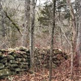 Cecil Cove Loop Trail, Arkansas - 155 Reviews, Map | AllTrails