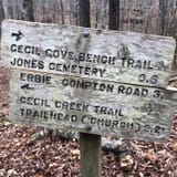 Cecil Cove Loop Trail, Arkansas - 155 Reviews, Map | AllTrails
