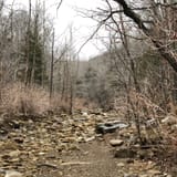 Cecil Cove Loop Trail, Arkansas - 155 Reviews, Map | AllTrails