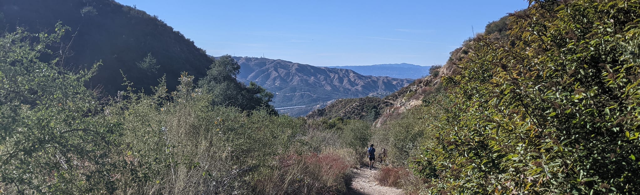 Dunsmore Canyon and Le Mesanger Loop Trails: 489 Reviews, Map ...