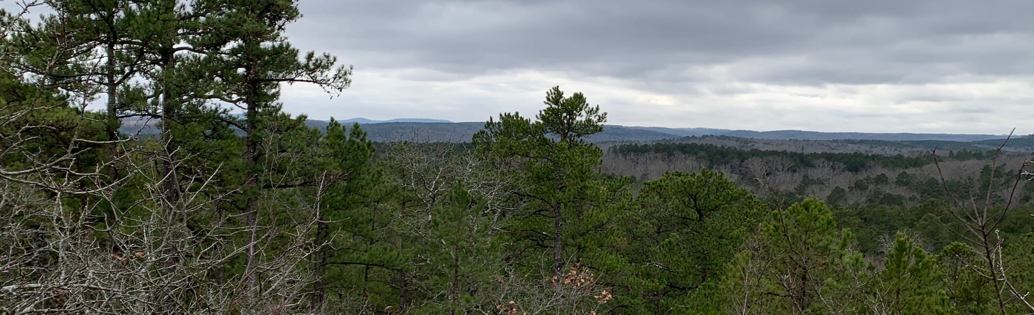 Whispering Pines: North Loop: 1,036 Reviews, Map - Missouri | AllTrails