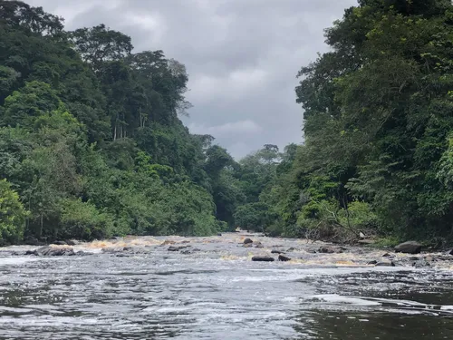 Best Hikes and Trails in Ivindo National Park | AllTrails