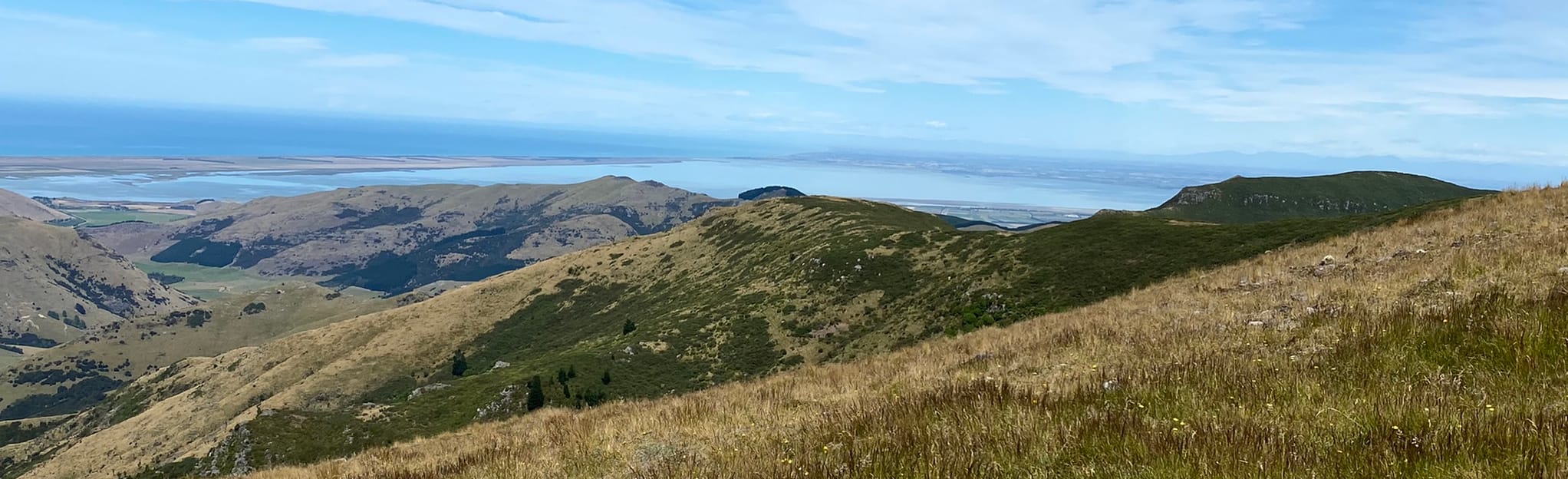 Mount Herbert Walkway: 16 Reviews, Map - Canterbury, New Zealand ...