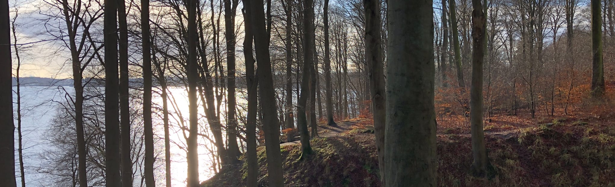 Kollund skov via Molevej | Map, Guide - Region of Southern Denmark ...