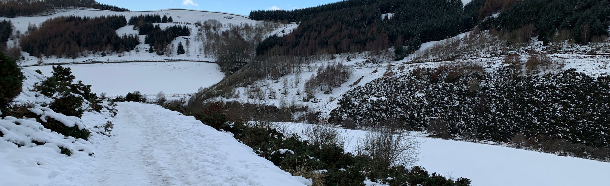 Glentress Circular, Scottish Borders, Scotland - 10 Reviews, Map ...