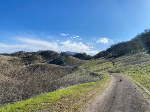 10 Best Hikes and Trails in Shell Ridge Open Space | AllTrails