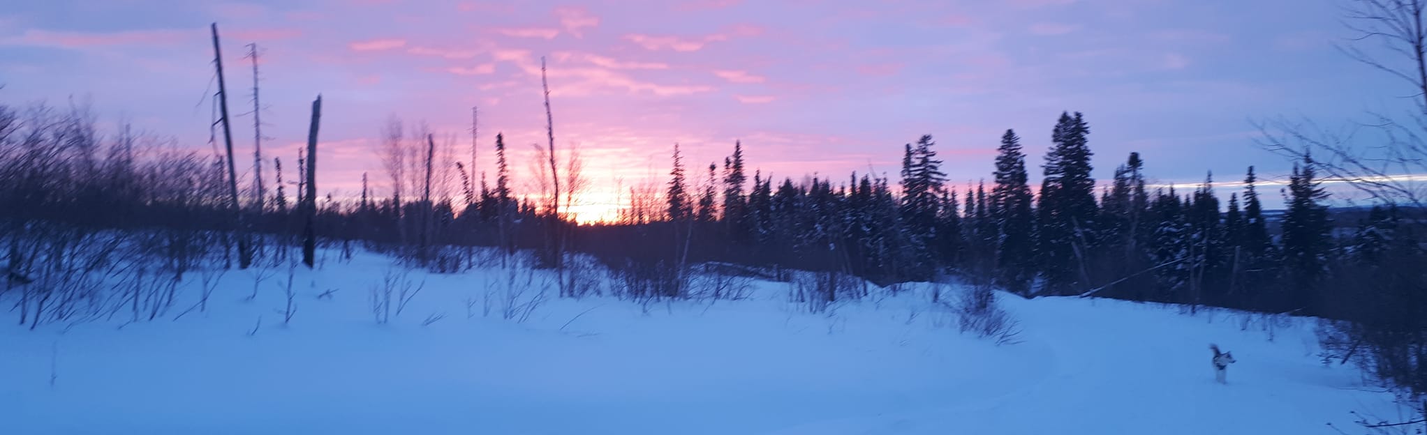 Mistissini Lower Ridge Trail: 3 Fotos - Québec, Kanada | AllTrails