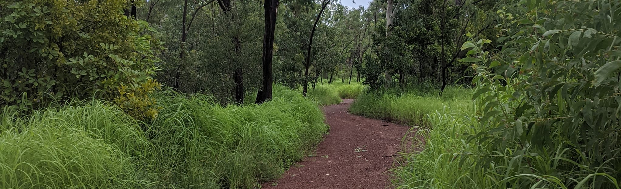 Lee Point Loop via Casuarina Beach, Northern Territory, Australia - 9 ...