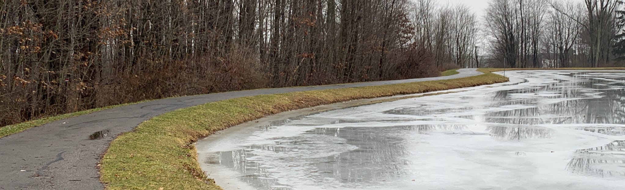 Copley Community Park Loop: 84 Reviews, Map - Ohio | AllTrails