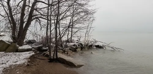 Best Hikes and Trails in John R. Park Homestead Conservation Area ...