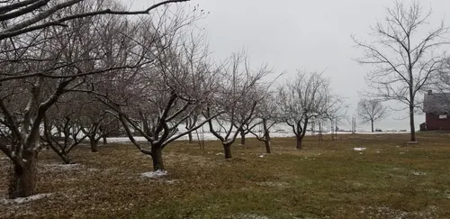 Best Hikes and Trails in John R. Park Homestead Conservation Area ...