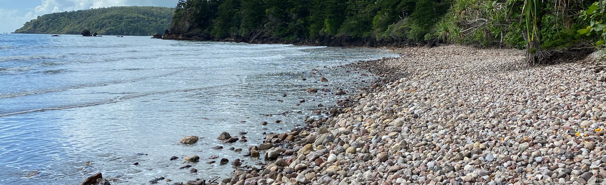 Beachcomber Cove Track: 38 Reviews, Map - Queensland, Australia | AllTrails