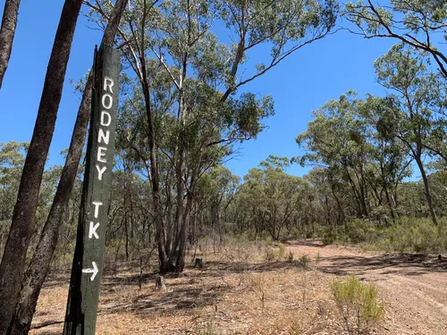 Best Camping Trails in Heathcote Graytown National Park | AllTrails