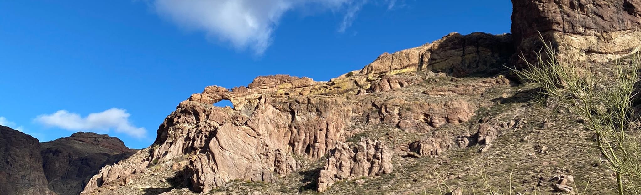 Arch Canyon Trail, Arizona - 237 Reviews, Map | AllTrails