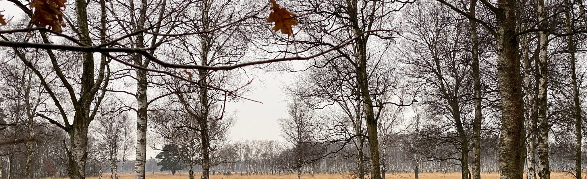 Ohlstedt - Wohldorfer Wald - Duvenstedter Brook: 12 Reviews, Map ...