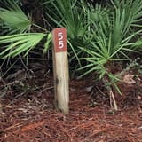 Timpoochee Trail, Florida - 167 Reviews, Map | AllTrails