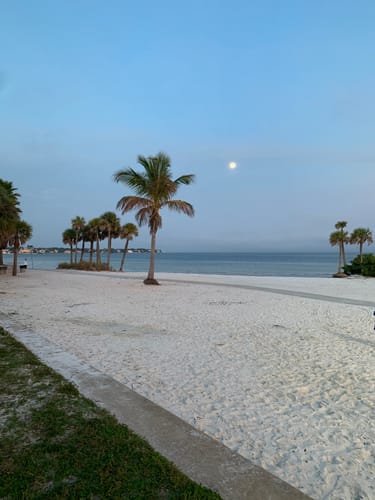 2023 Best trails in Vinoy Park | AllTrails