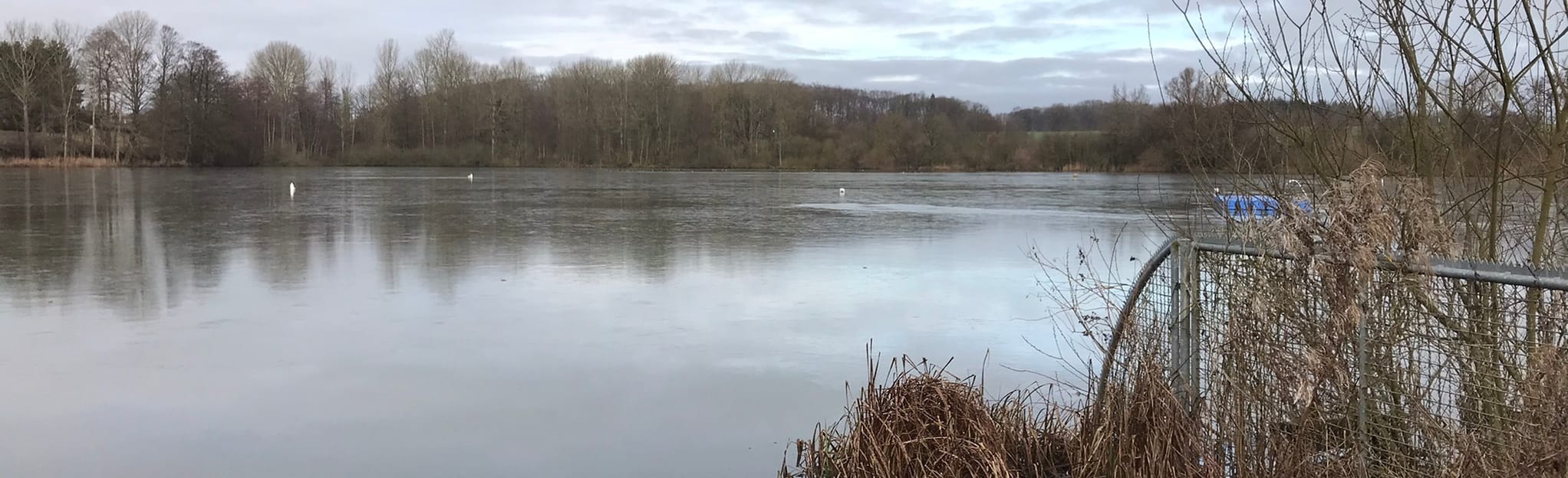 Poggensee Loop, Schleswig-Holstein, Germany - 6 Reviews, Map | AllTrails