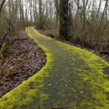 Scappoose Bay Marine Park Nature Trail and Kayak Launch, Oregon - 33 ...