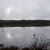 Scappoose Bay Marine Park Nature Trail and Kayak Launch, Oregon - 33 ...