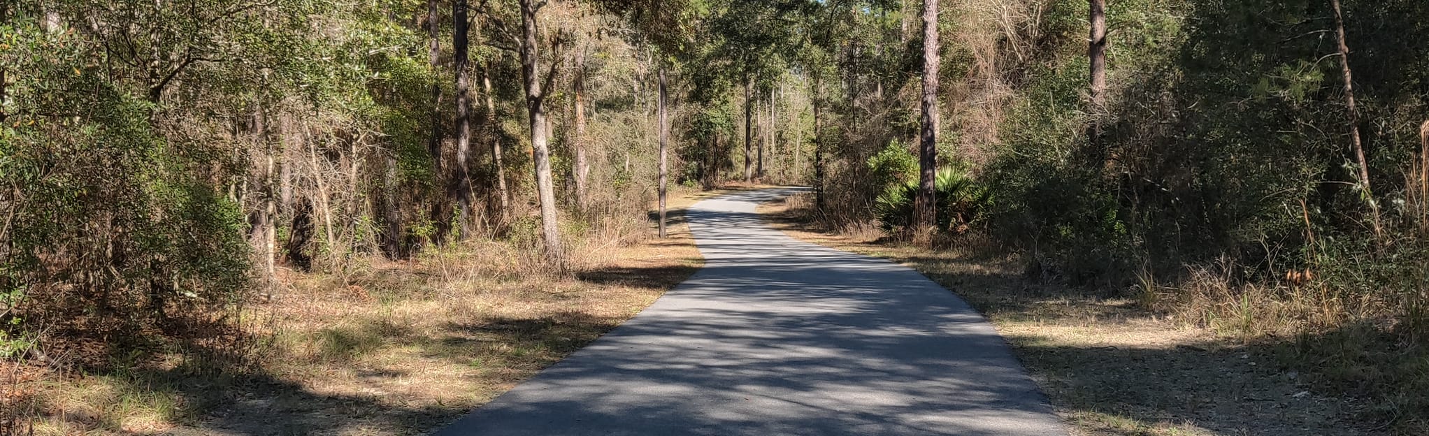 Ross Prairie Tract Trail, Florida - 114 Reviews, Map | AllTrails