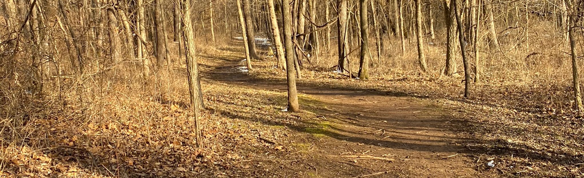 Culp Park Main Loop: 21 Reviews, Map - Missouri | AllTrails