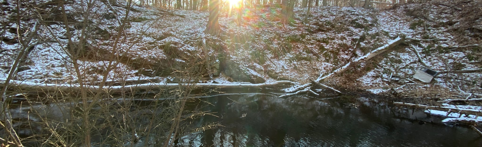 North Farms Park Yellow Loop : 43 Reviews, Map - Connecticut | AllTrails