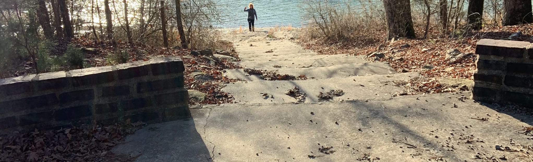 Mill Creek OHV Trail Loop: 95 Reviews, Map - Arkansas | AllTrails