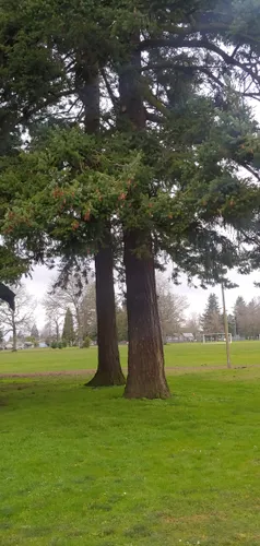 Best Hikes and Trails in Lents Park | AllTrails