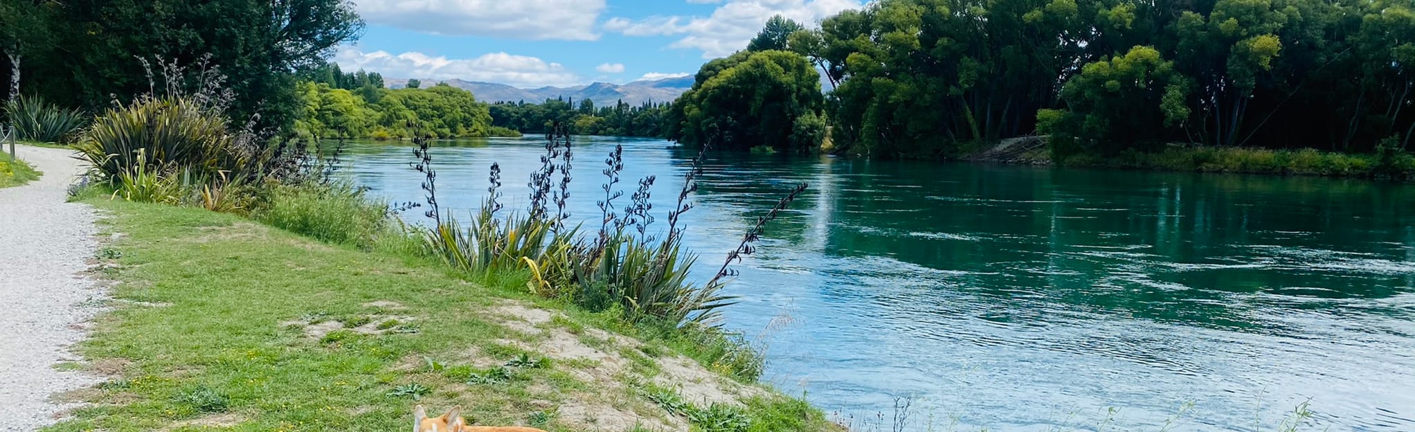 Alexandra to Clyde River Track - Otago, New Zealand | AllTrails
