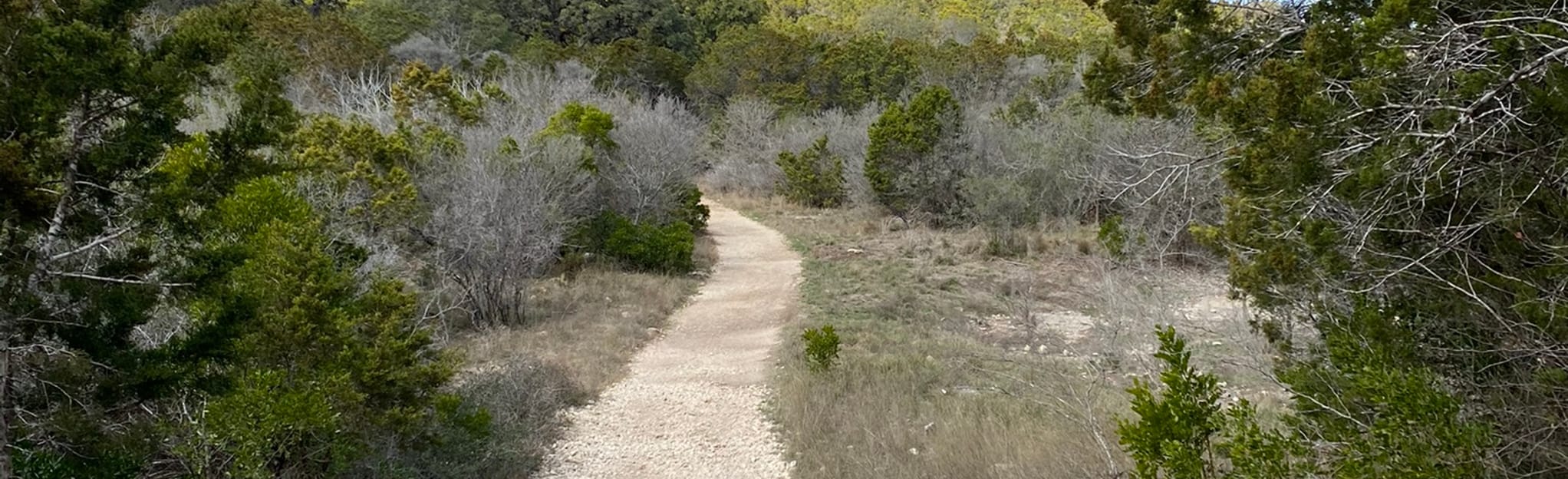 Government Canyon Outer Loop, Texas - 99 Reviews, Map | AllTrails