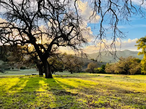 Best Moderate Trails in Mount Burdell Open Space Preserve | AllTrails