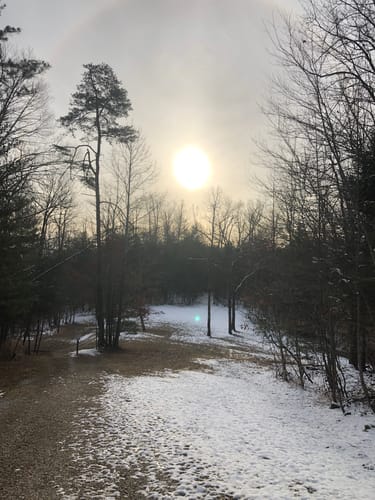 Best Hikes and Trails in Muir Valley Nature Preserve | AllTrails