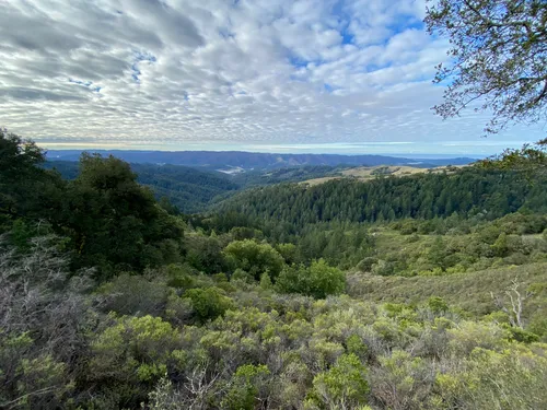 10 Best Hikes and Trails in Skyline Ridge Open Space Preserve | AllTrails