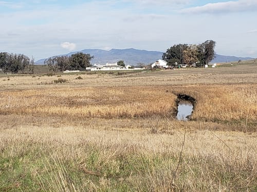 Best Hikes and Trails in Rush Ranch Open Space | AllTrails