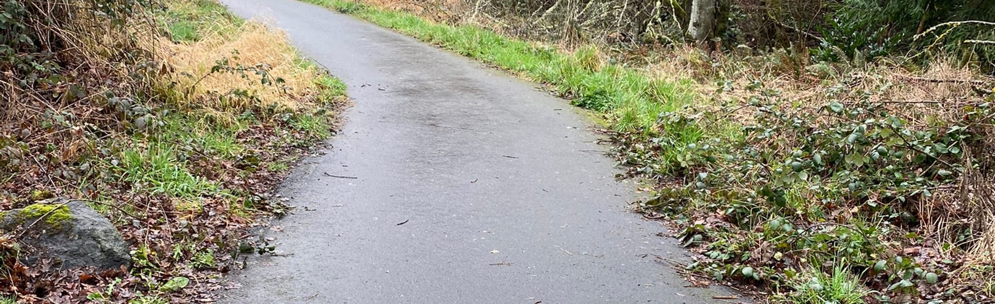 Tanner Creek Park Trail, Oregon - 160 Reviews, Map | AllTrails