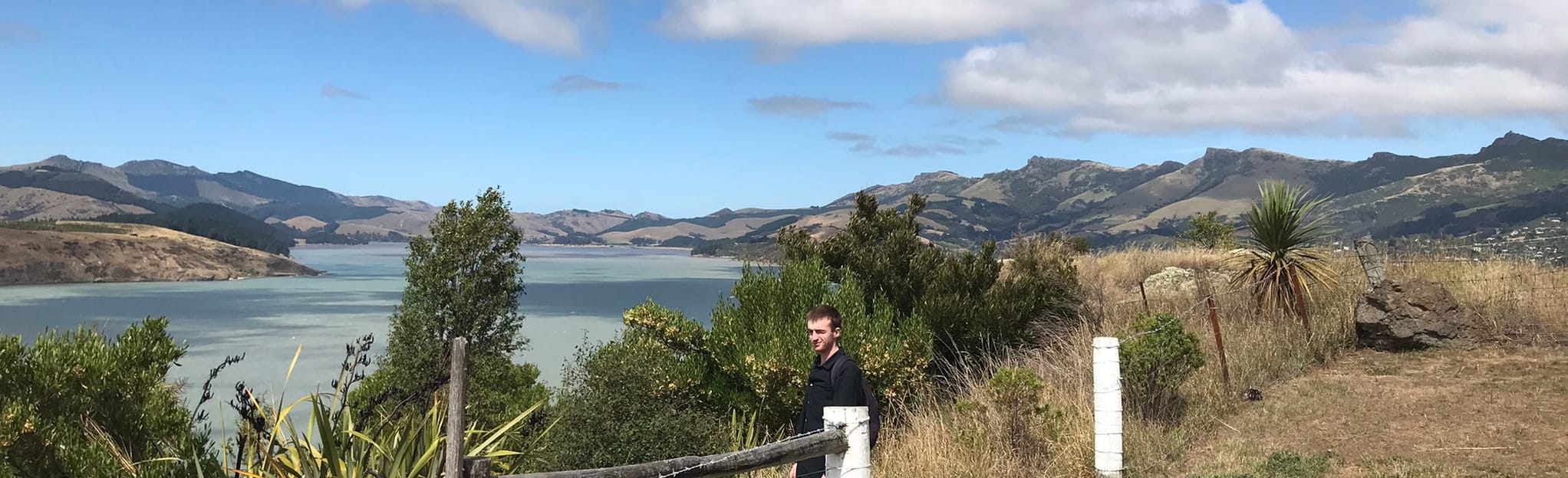 Pony Point Loop Walk [CLOSED] | Map, Guide - Canterbury, New Zealand ...