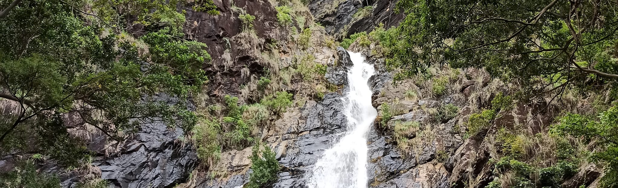Hartleys Creek Falls via Quaid Road: 224 fotos - Queensland, Australia ...