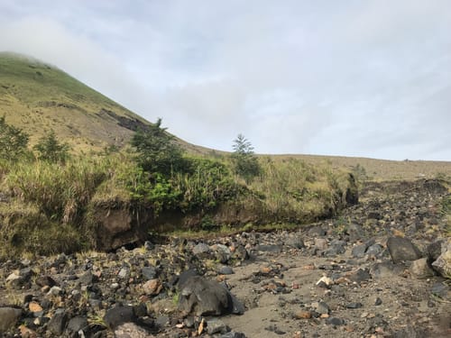 Best Hikes and Trails in Taman Hutan Raya Gunung Tumpa | AllTrails