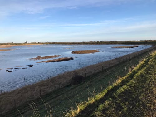 Best Hikes and Trails in Frampton Marsh Nature Reserve | AllTrails