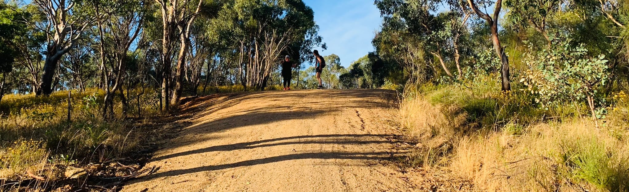 Ridge Trail, Daybreak, and Red Door Trails, New South Wales, Australia ...