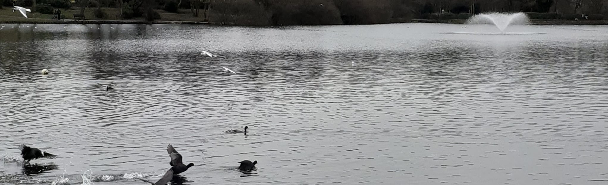 Taylor Park Big Dam Circular - England | AllTrails