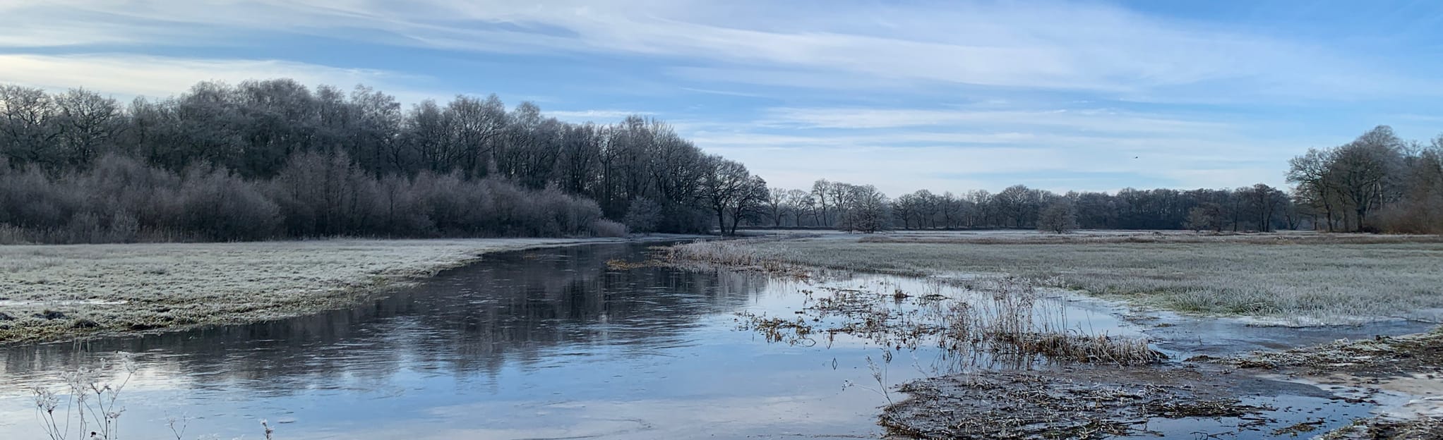 Pieterpad: Zuidlaren - Rolde Etappe 1.4: 479 foto's - Drenthe ...