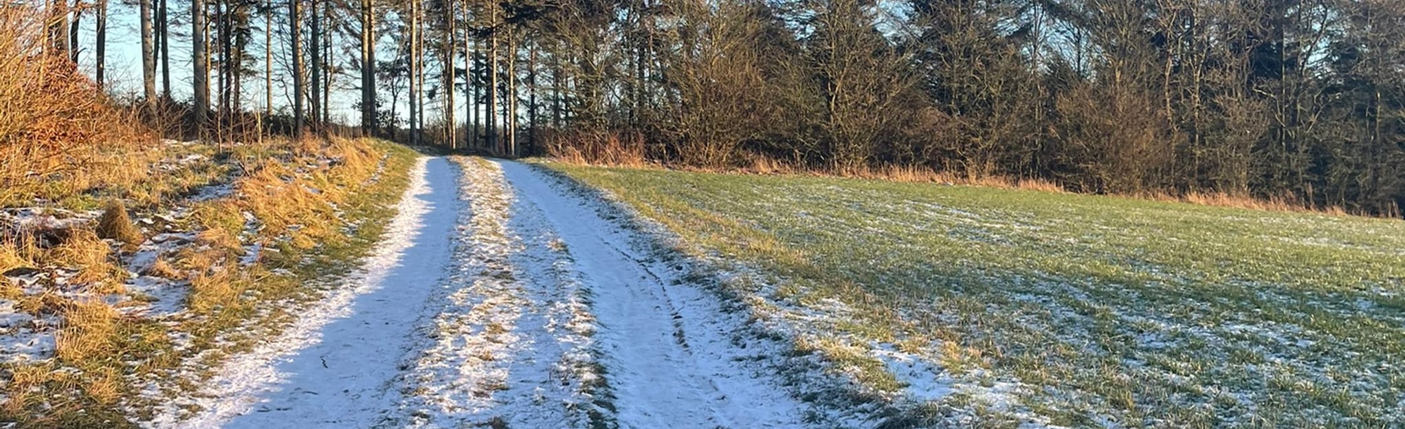 Astrup og Billekær Bæk: 1 Reviews, Map - North Denmark, Denmark | AllTrails